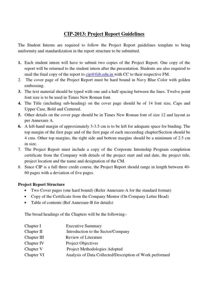 CIP 2013 Project Report Guidelines | PDF | Internship | Job Hunting