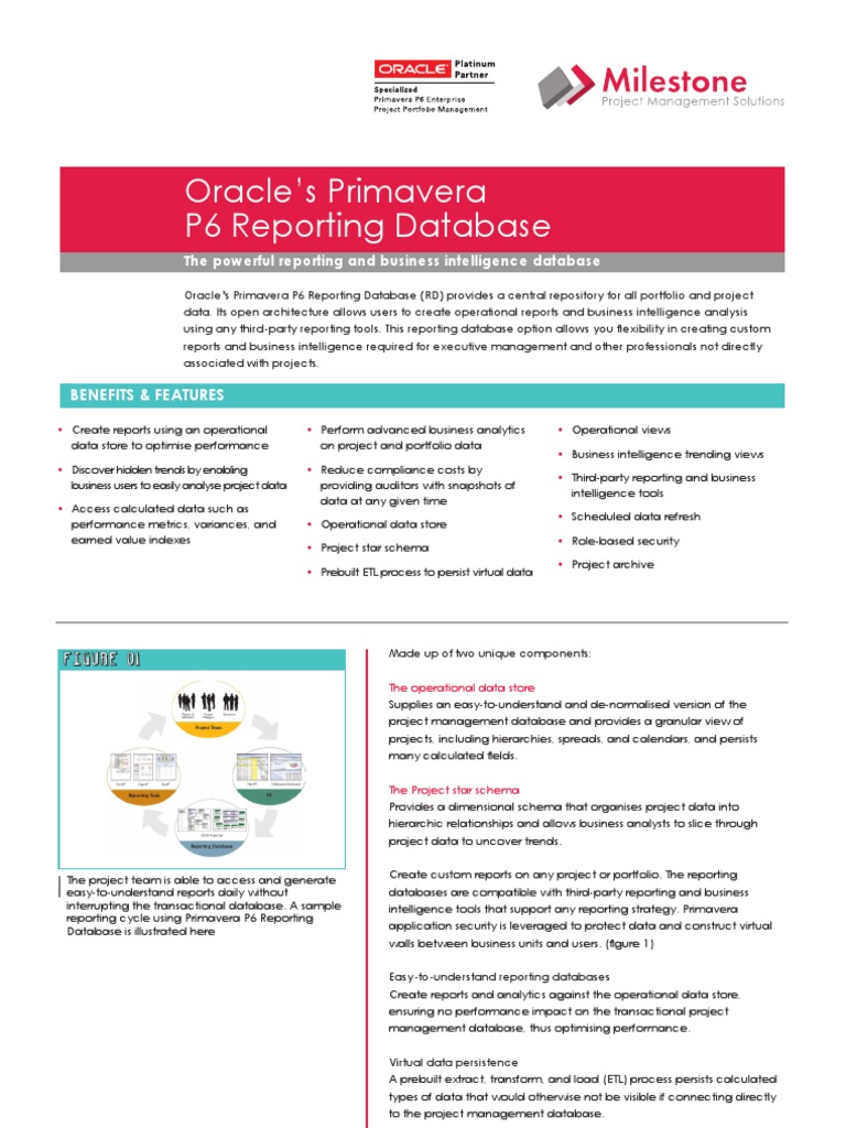 Oracle's Primavera P6 Reporting Database | PDF | Business Intelligence | Databases