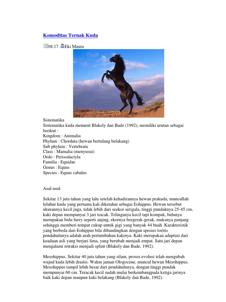 Komoditas Ternak Kuda | PDF