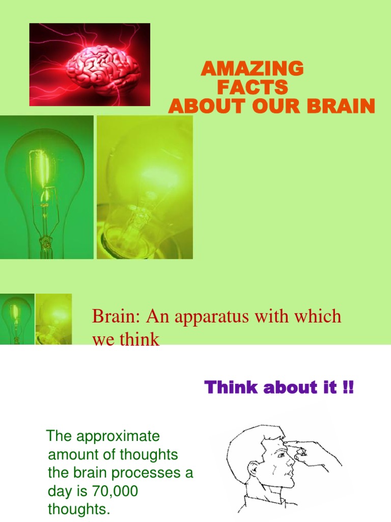 Amazing Facts About the Brain | PDF | Self-Improvement