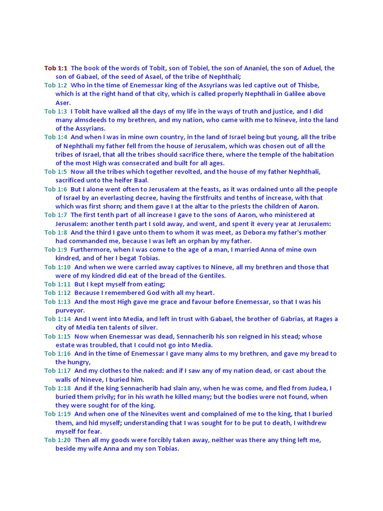 Book of Tobit.pdf | Sin | Religious Belief And Doctrine