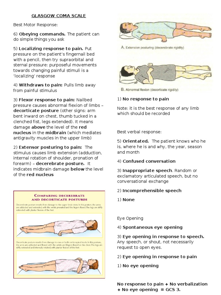 GCS Motor Response Assessment Guide | PDF | Science & Mathematics