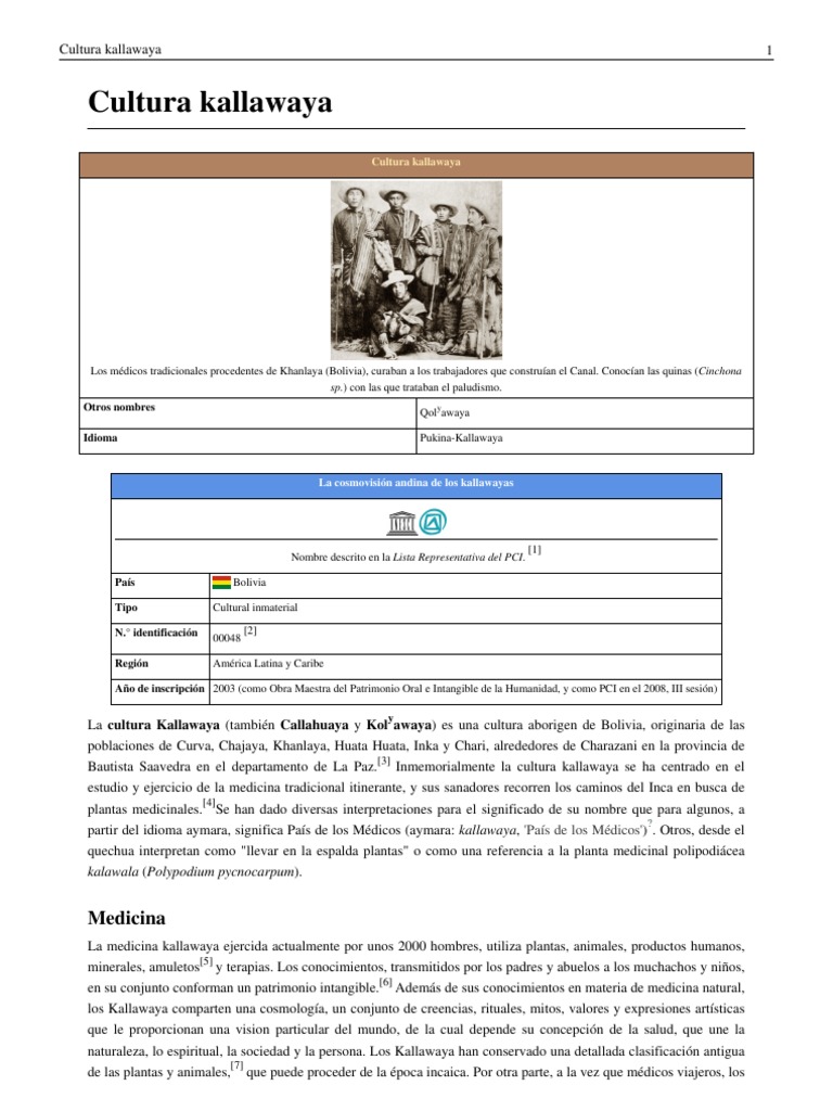 Cultura Kallawaya | PDF | Andes
