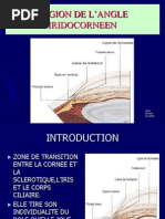 Anatomie du vitré et canal hyaloidien | PDF | Œil humain