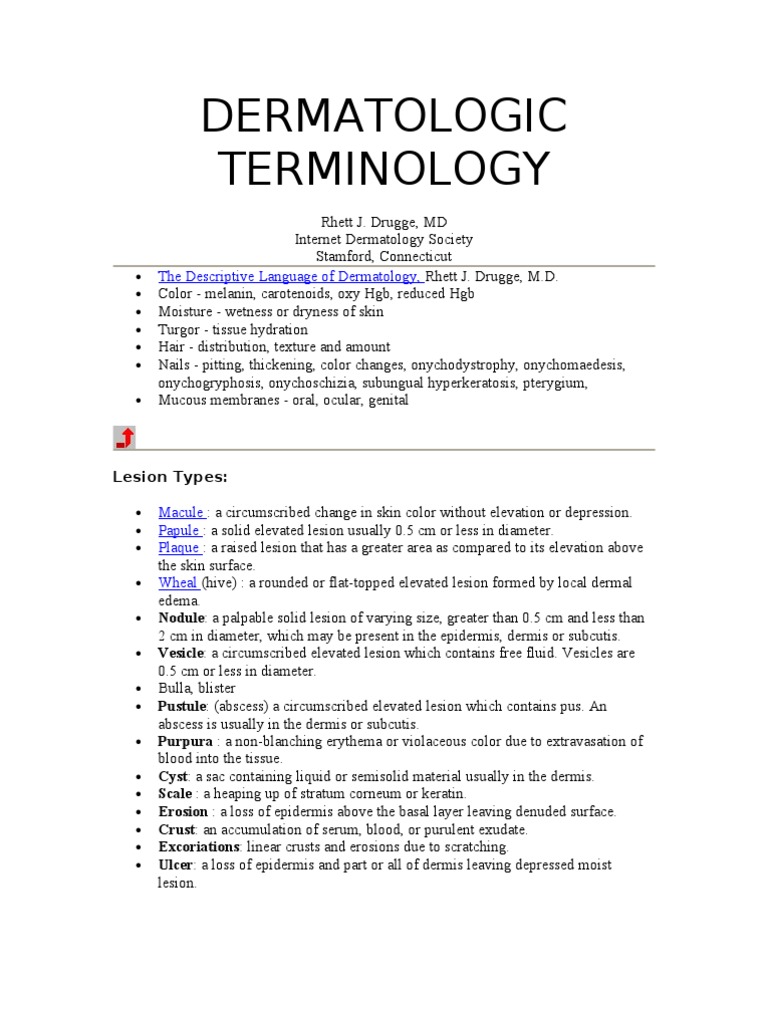 Dermatologic Terminology | PDF | Politics
