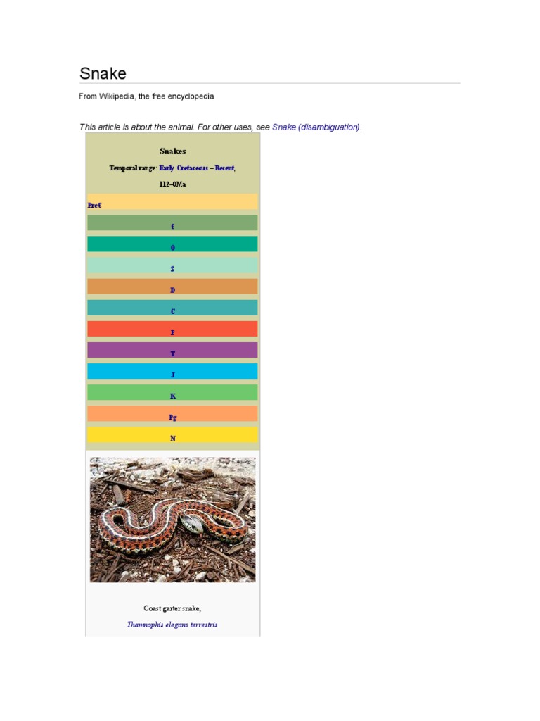 An In-Depth Look at Snake Anatomy, Evolution, Distribution, and ...