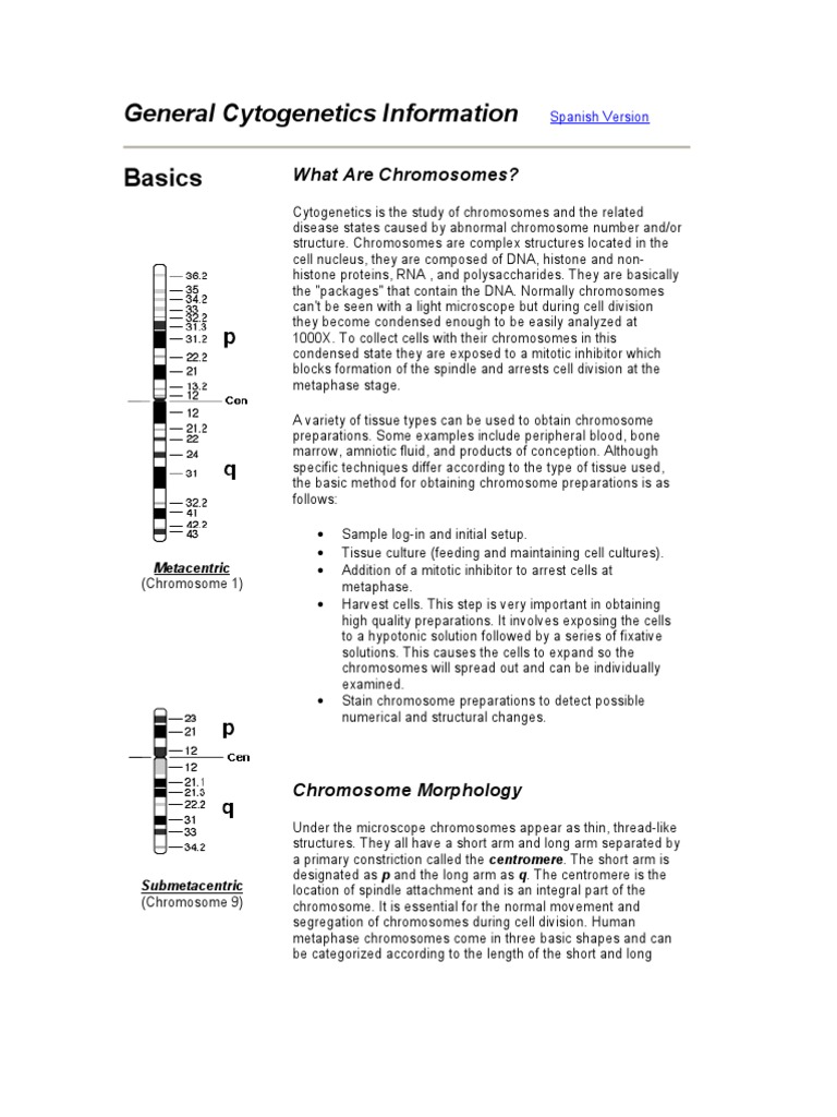 General Cytogenetics Information | PDF | Fluorescence In Situ ...
