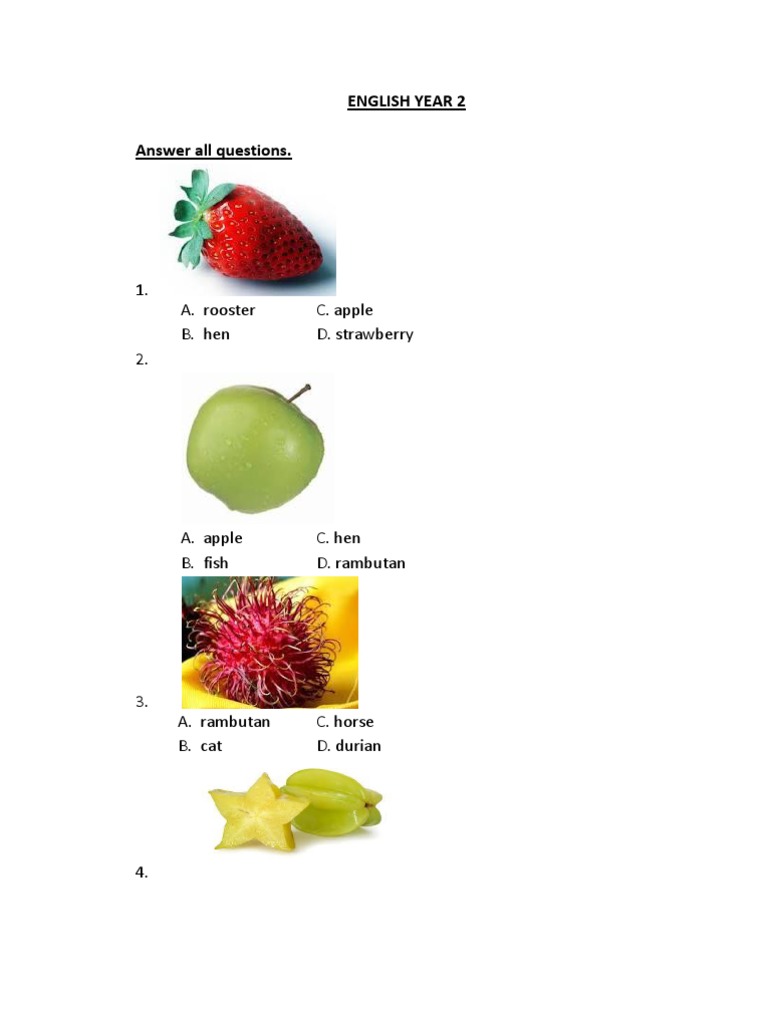 Year 2 English Vocabulary Quiz | PDF