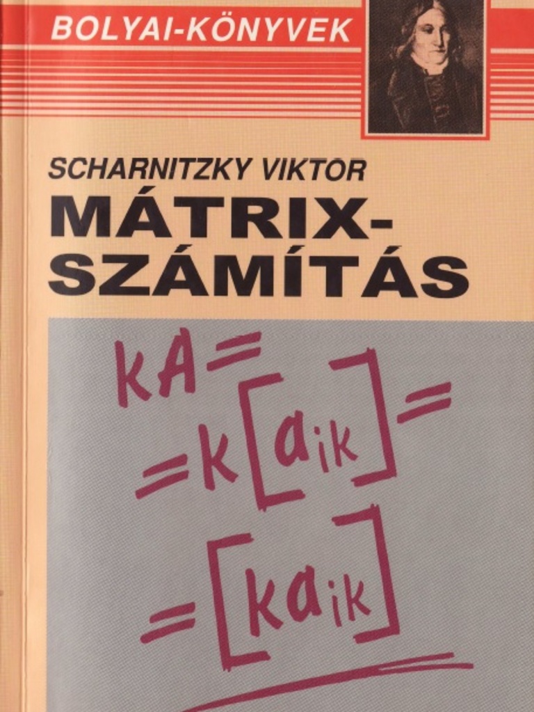Scharnitzky Viktor - Matrixszamitas (2002) (Bolyai - Sorozat) | PDF