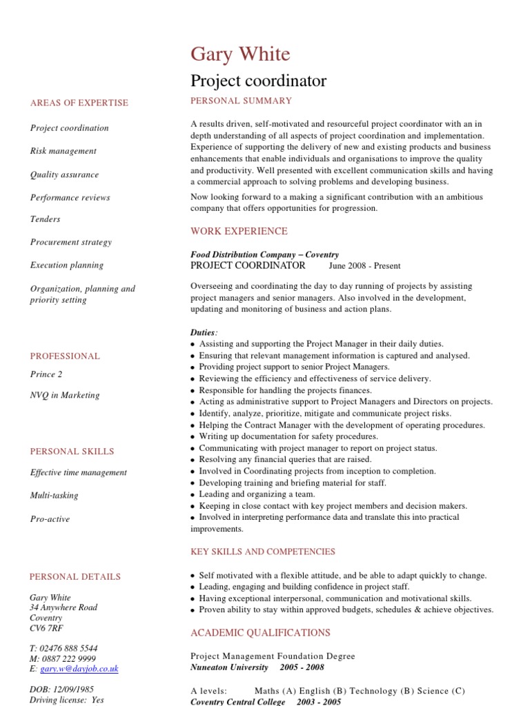 Project Coordinator CV Template | PDF | Project Manager | Project ...