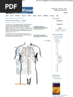 Byol Maridian Chart | PDF | Energy Therapies | Energy (Esotericism)