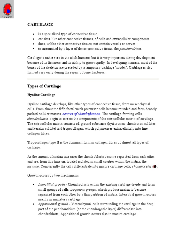 The Structure and Function of Cartilage: A Comprehensive Look at the ...