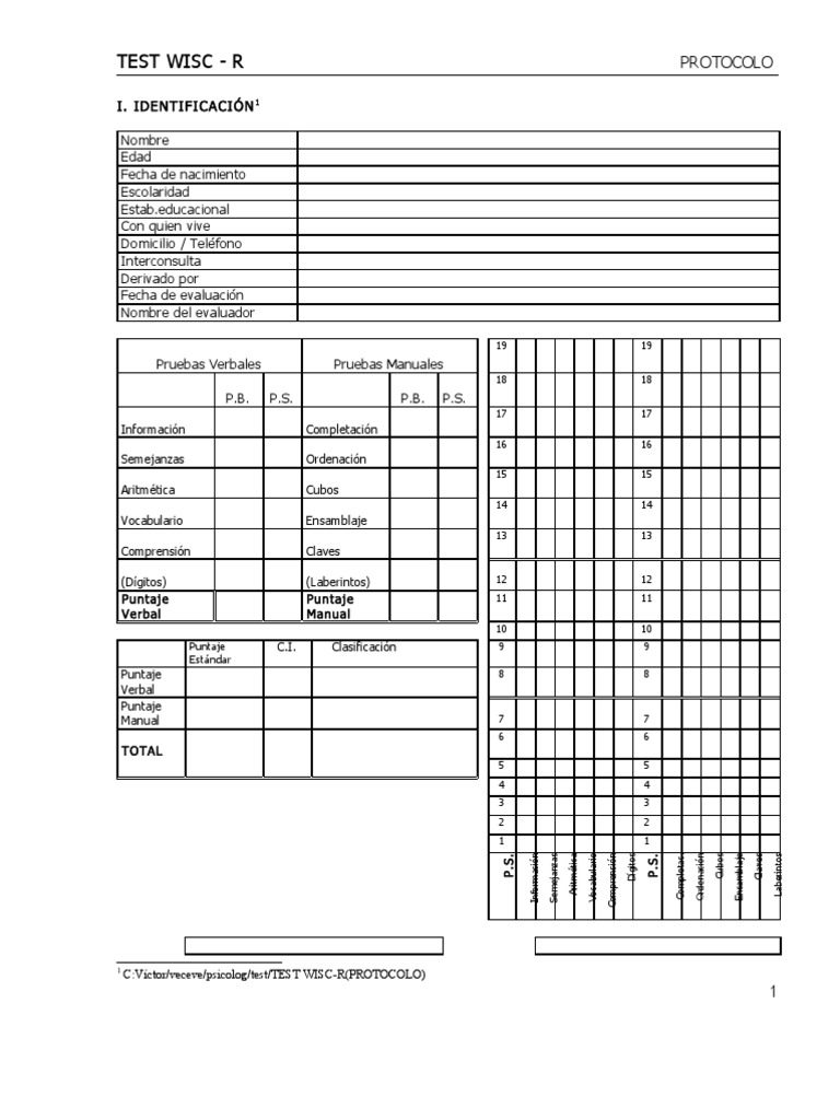 Protocolo Test WISC-R para Evaluación | PDF | Alimentos | Naturaleza