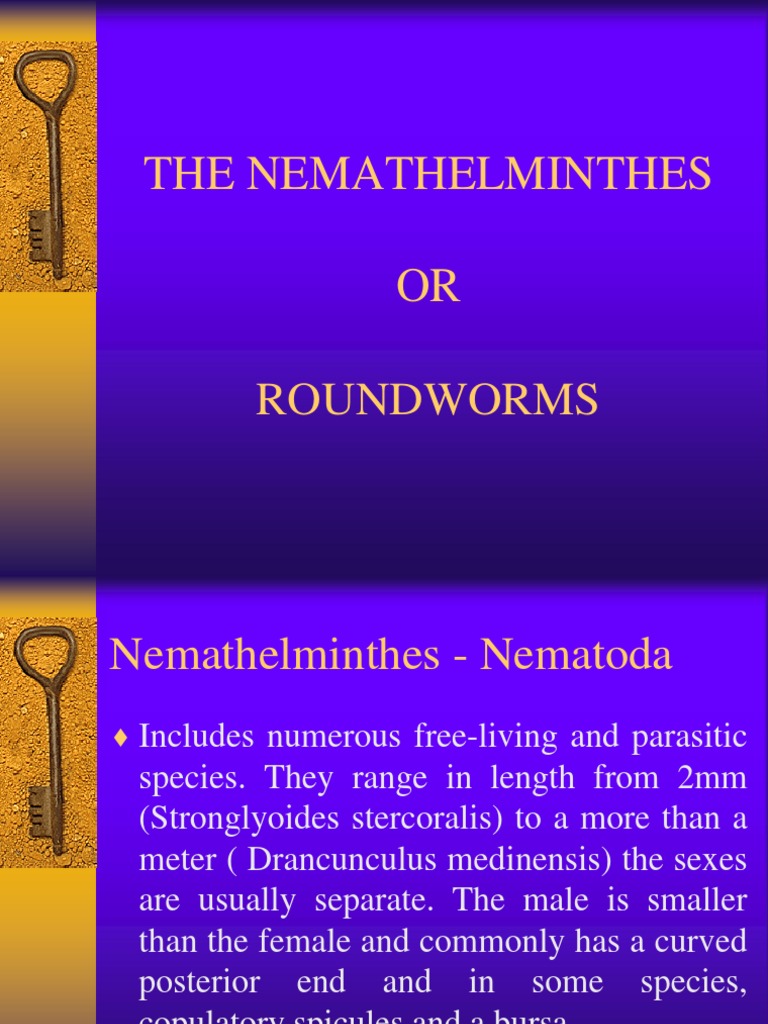 The Nemathelminthes | PDF | Nematode | Immune System
