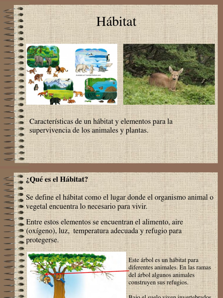 Habitat 2° básico mayo13 | Habitat | Suelo | Prueba gratuita de 30 días ...