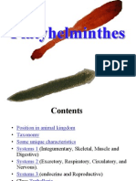 1687761495.6. Type of Cercariae With Examples | PDF | Zoology