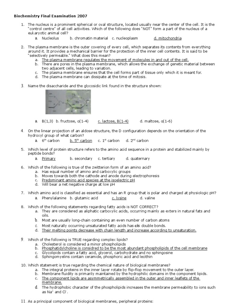 Biochem Final Examination 2007 | PDF | Biosynthesis | Biological Membrane