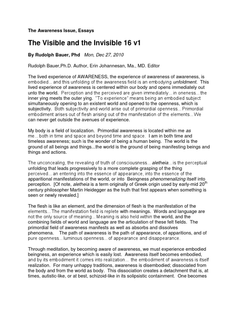 The Visible and The Invisible | PDF | Mind | Self