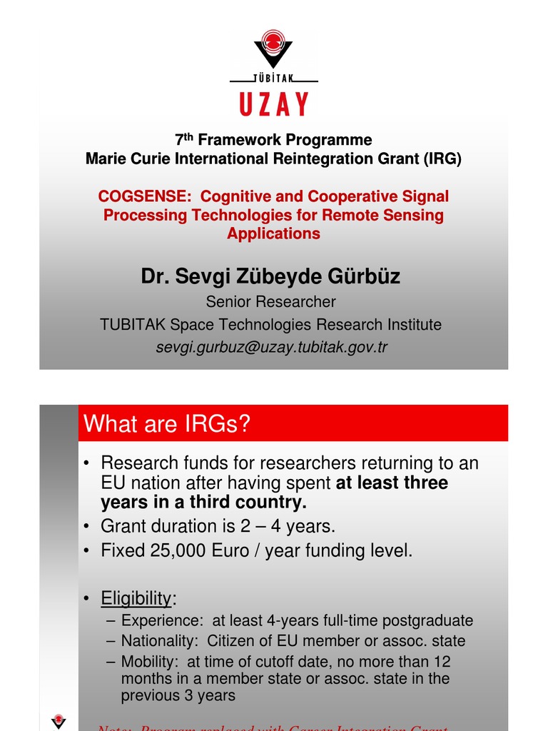 Irg Sample | PDF | Leadership | European Union