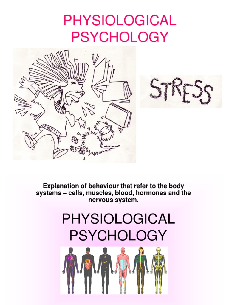 Physiological Psychology | PDF | Hypothalamic–Pituitary–Adrenal Axis ...