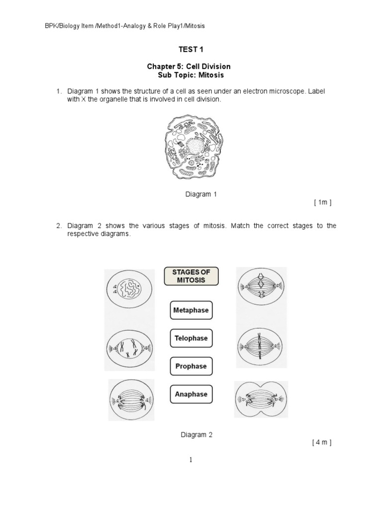 Test 1 Chapter 5: Cell Division Sub Topic: Mitosis: BPK/Biology Item ...
