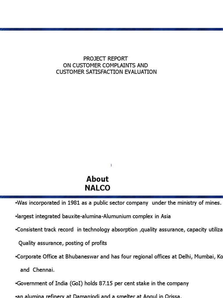 Nalco SIP Presentation | PDF | Economies | Business