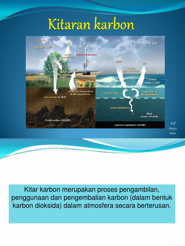 Kitaran Karbon | PDF