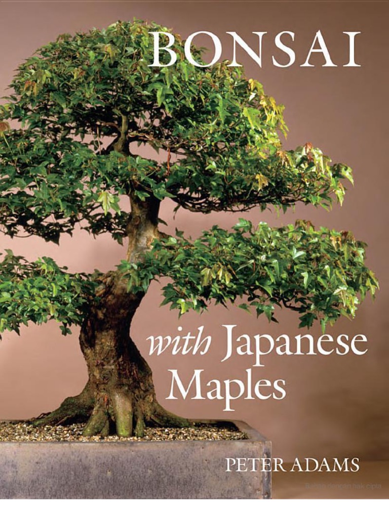 Bonsai 3 | PDF
