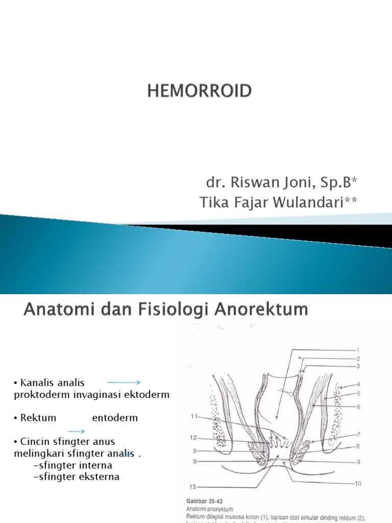 Penyebab dan Diagnosis Hemoroid | PDF | Sains & Matematika
