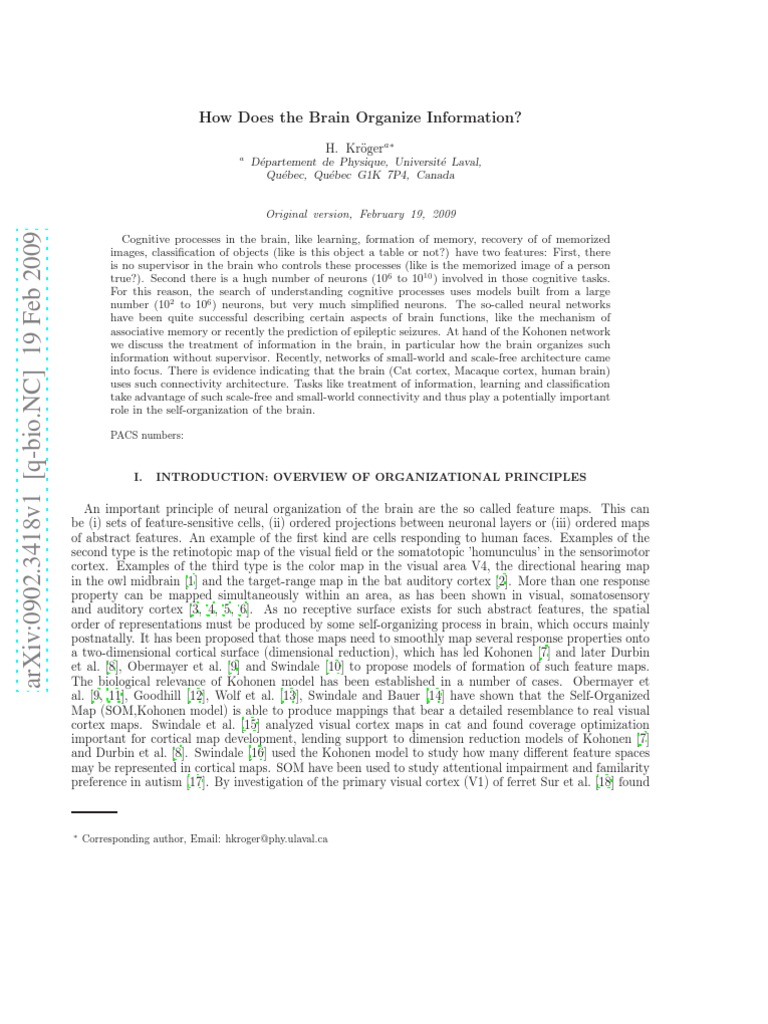 How Does The Brain Organize Information? | PDF | Brain | Nervous System