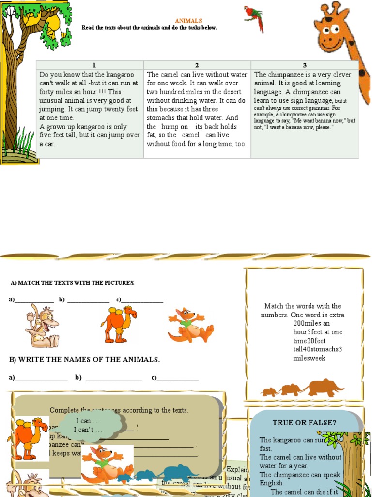 Read The Texts About The Animals and Do The Tasks Below | PDF | Foreign ...
