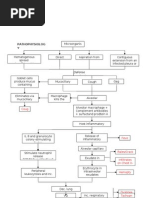 PCAP Pediatric Community Acquired Pneumonia PATHOPHYSIOLOGY | PDF ...