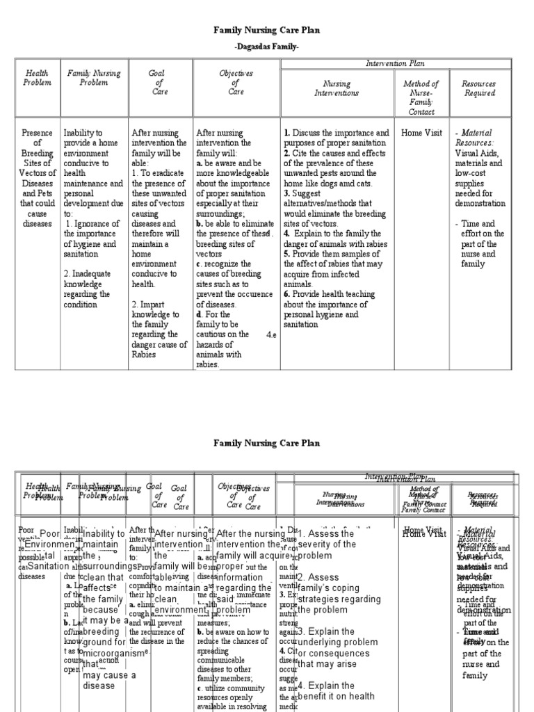 Family Nursing Care Plan | Common Cold | Sanitation
