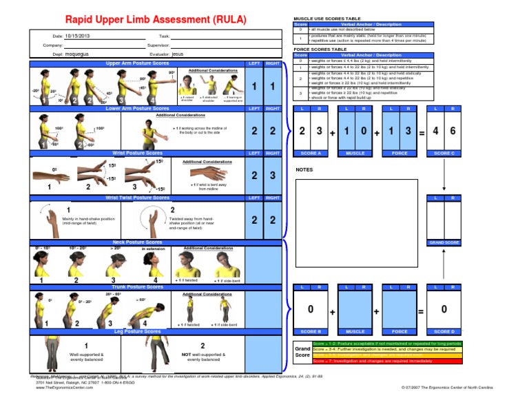 RULA Smart Form | Arm | Dance Science