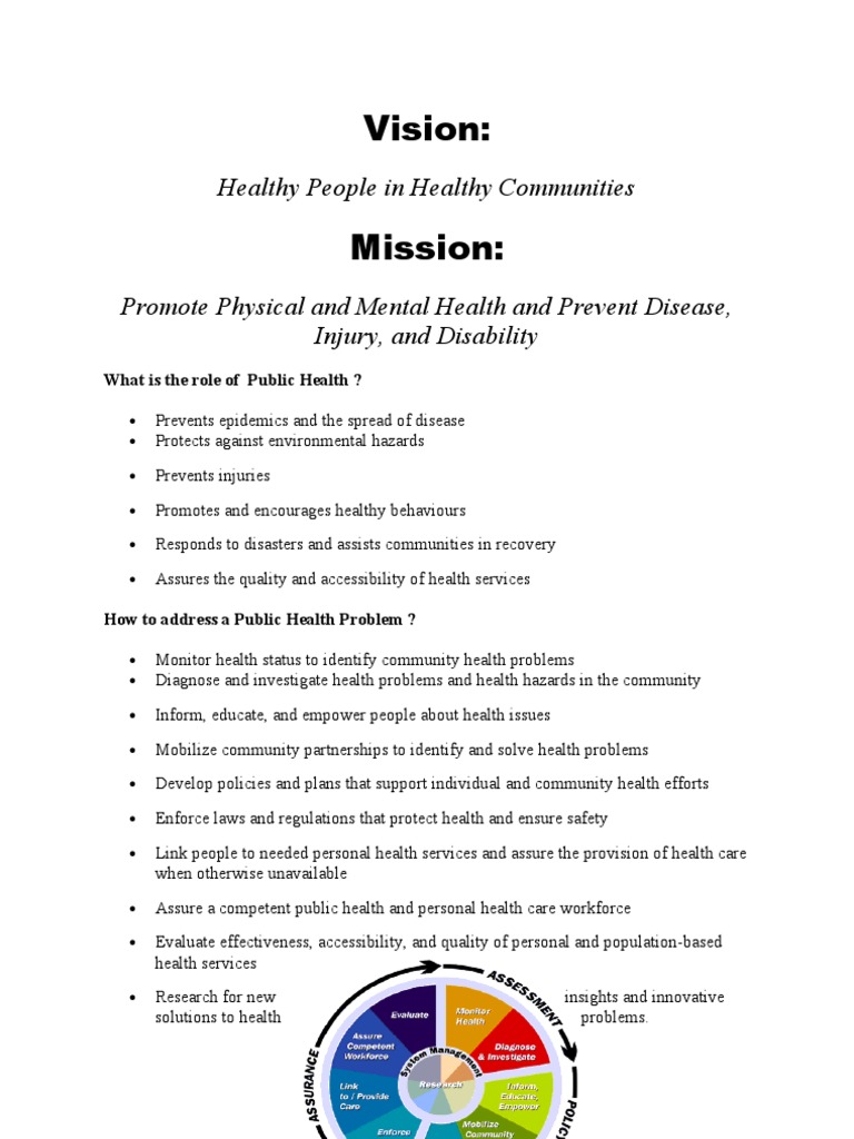 Public Health: Roles and Solutions | PDF