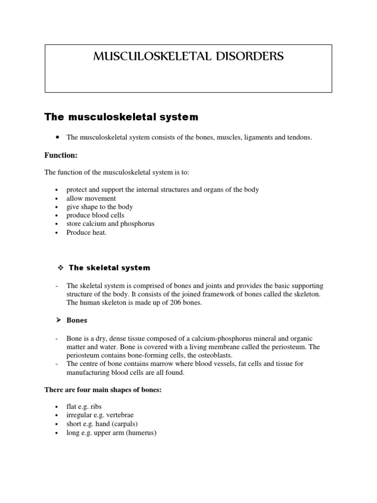 The Musculoskeletal System... | PDF | Human Musculoskeletal System ...