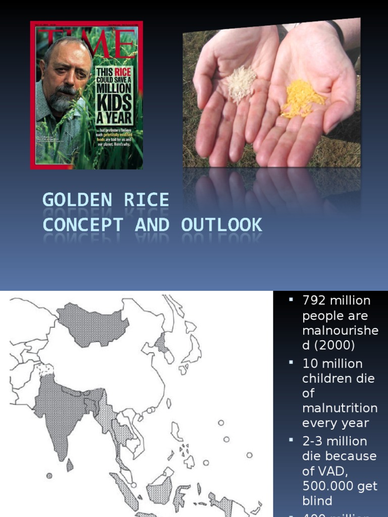 Golden Rice – potential and outlook | Earth & Life Sciences | Biology