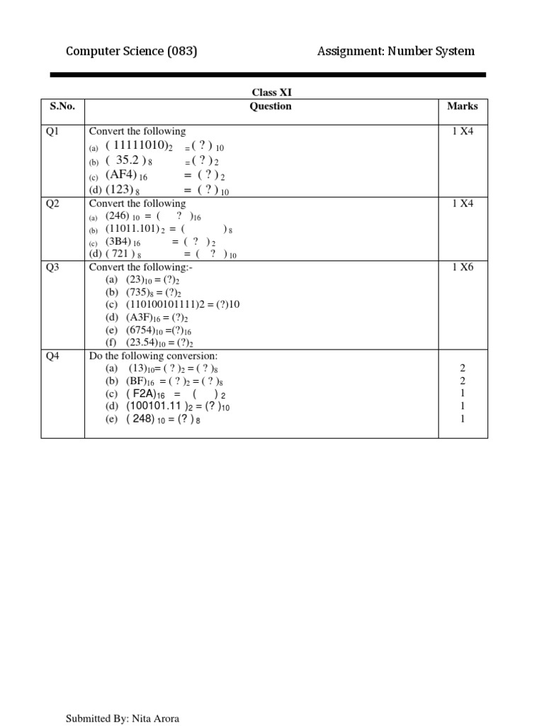 Assignment NUM SYS | PDF