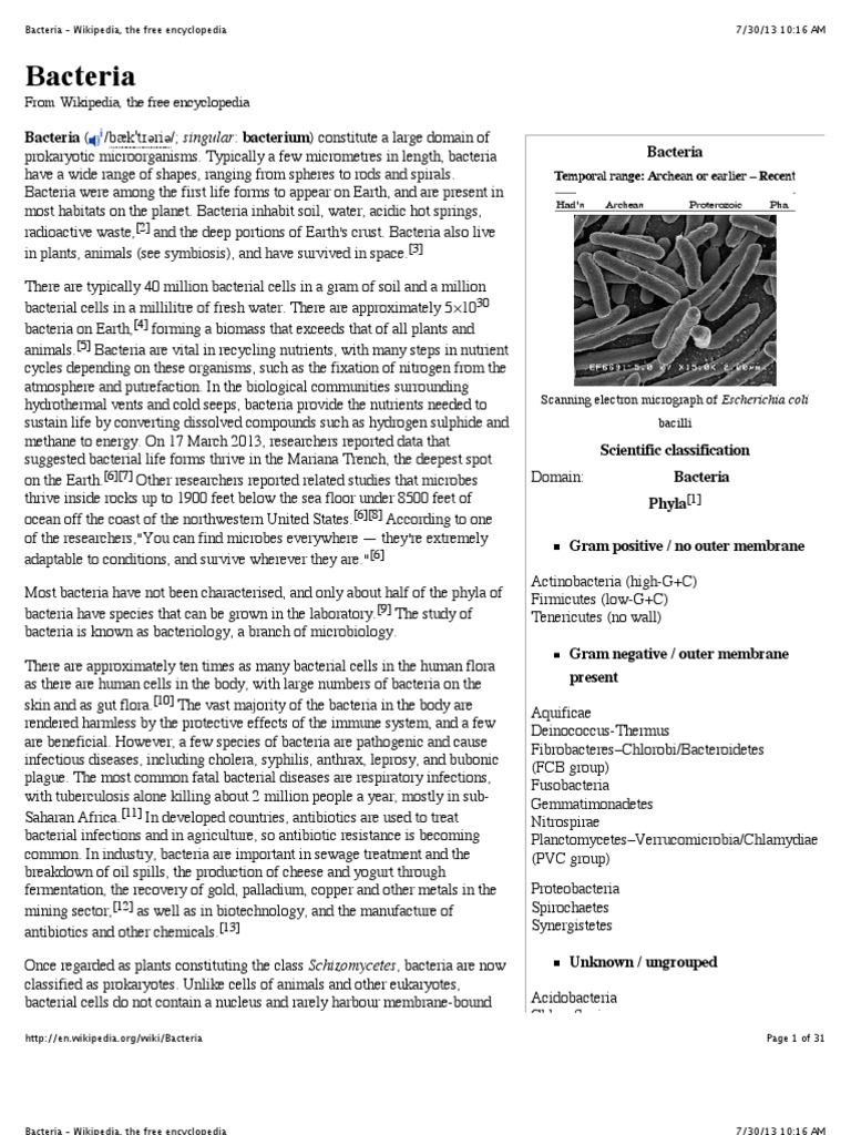 Bacteria - Wikipedia, The Free Encyclopedia | PDF | Transformation ...