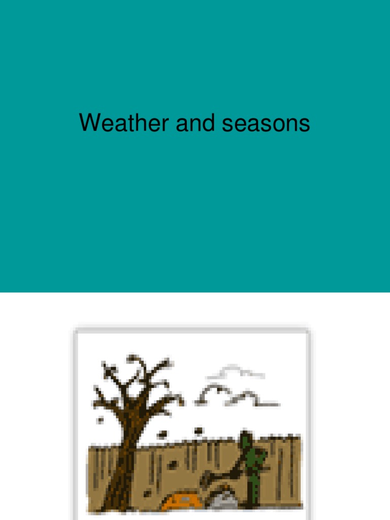 Weather Seasons | PDF