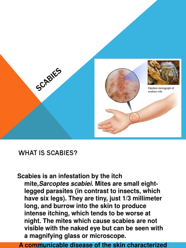 Scabies | Microbiology | Diseases And Disorders