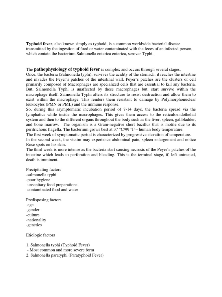 Typhoid Fever Pathophysiology | PDF | Salmonella | Bacteria