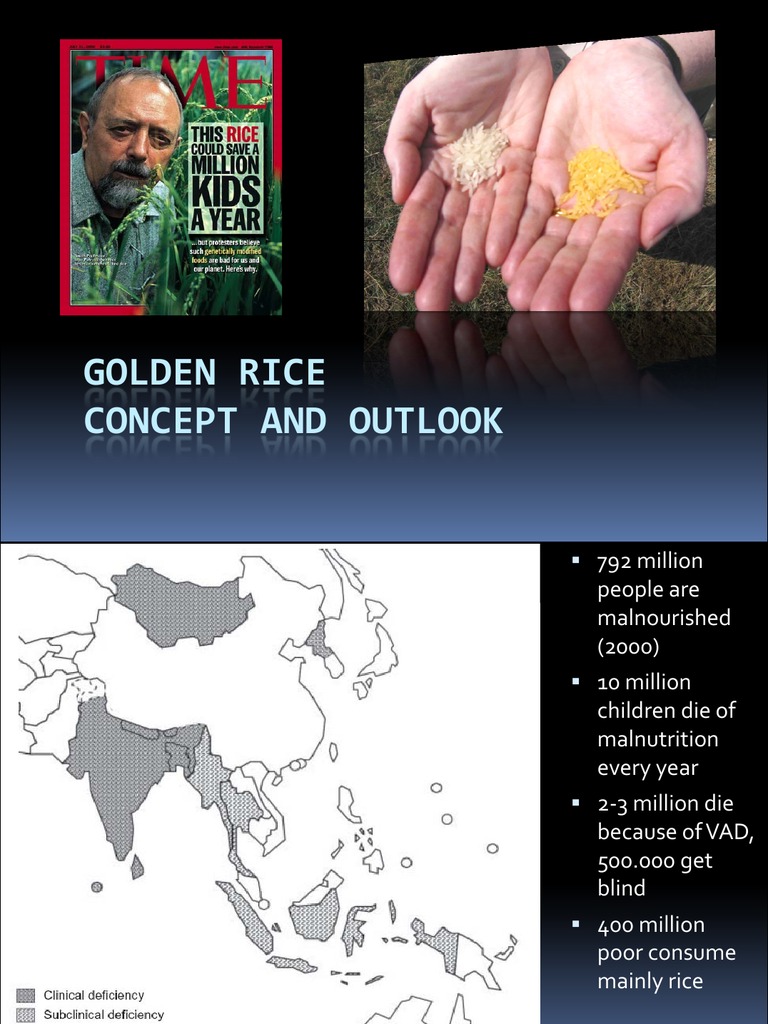 Golden Rice FINAL - Potential and Outlook | PDF | Vitamin A | Nutrition