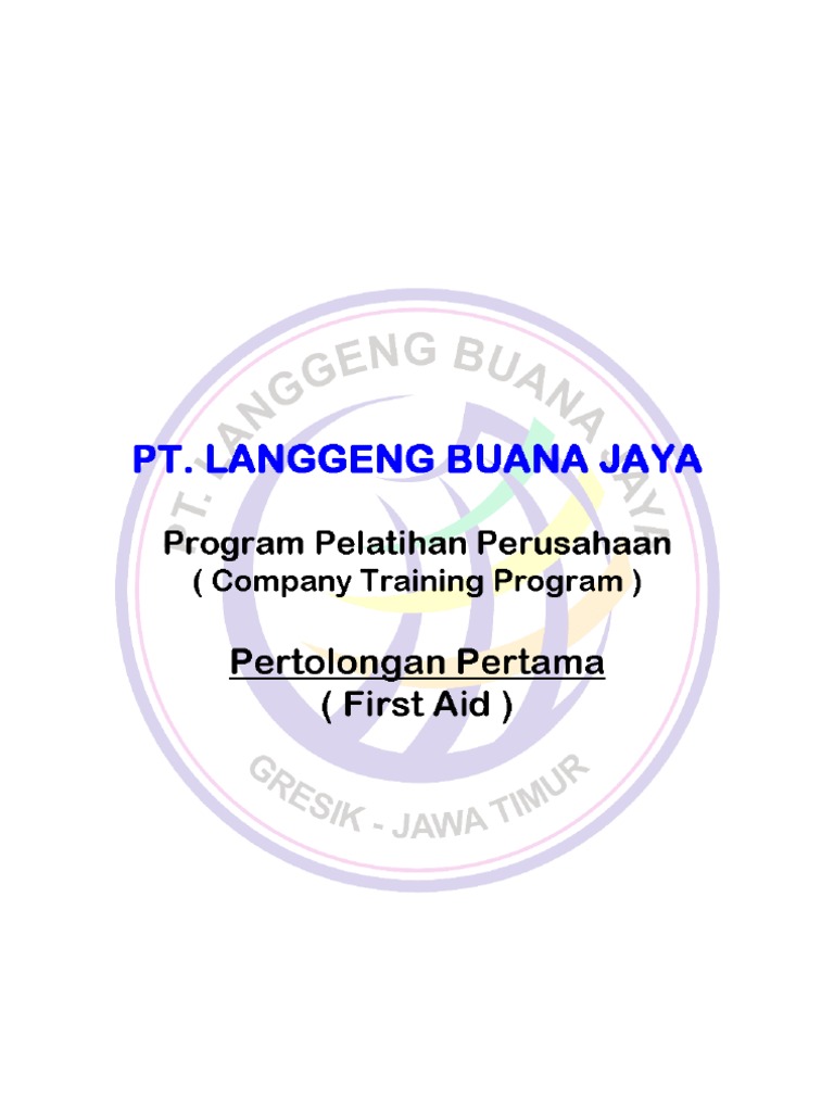 Materi Training Pertolongan Pertama First Aid and CPR Training First ...