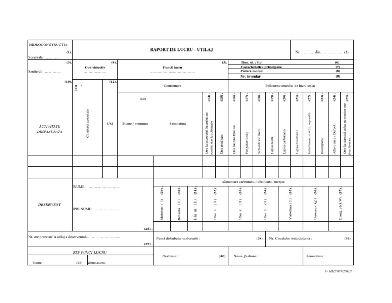Raport de Lucru Utilaj