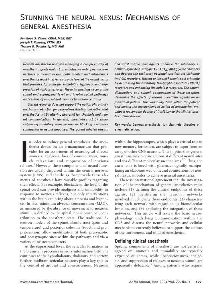 Modulating the Neural Nexus: An Overview of the Neurophysiological ...
