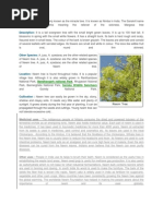 Neem Tree - Nature's Gift to Mankind | PDF