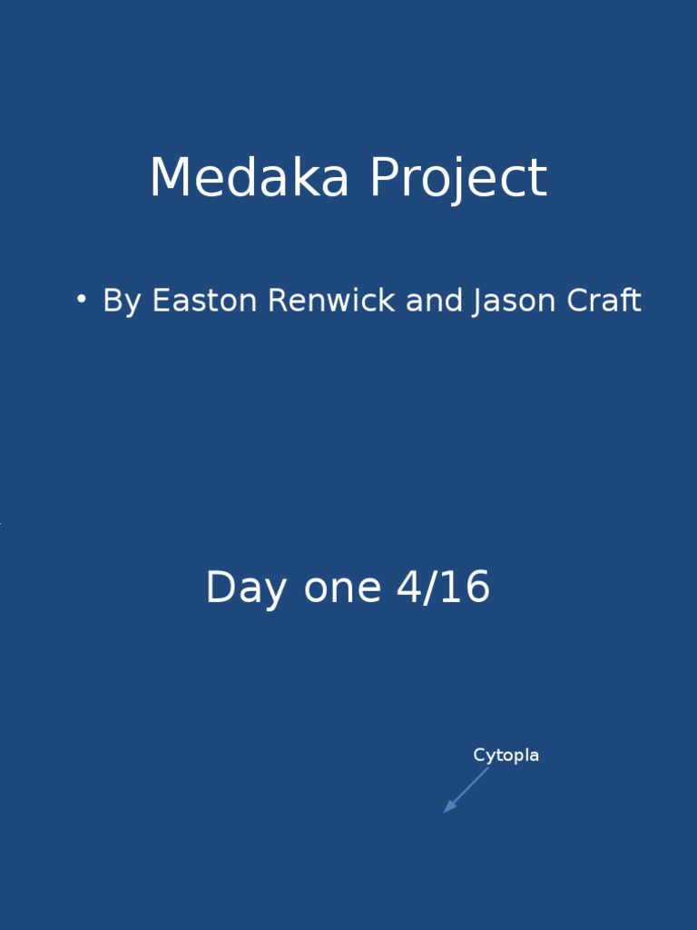 Jason Easton Medaka Project | PDF
