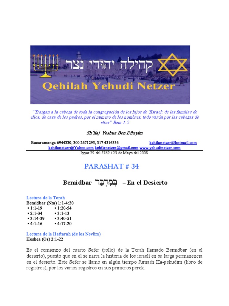 Parashat No 34 Adul 5769 | PDF | Yahvé | Bandera