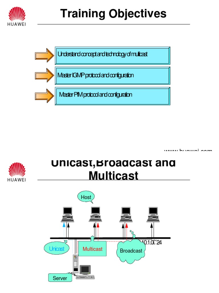 SAT08 Multicast | PDF | Multicast | Internet Architecture